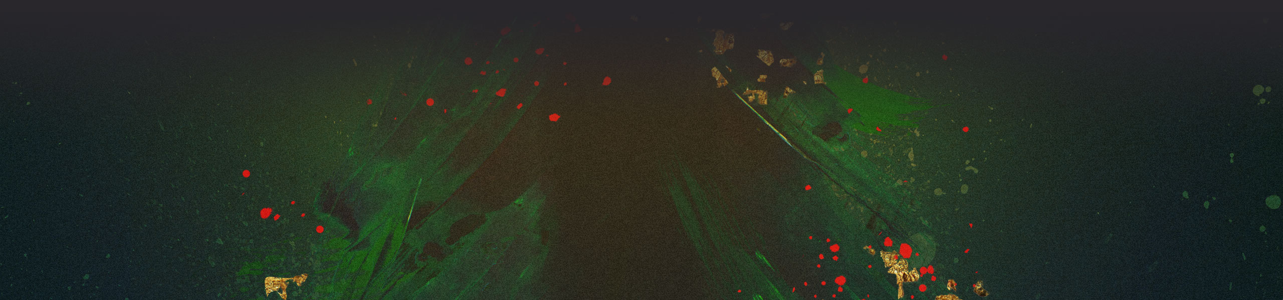 Elizabeth's Song, 12/06/20 - wearepcc