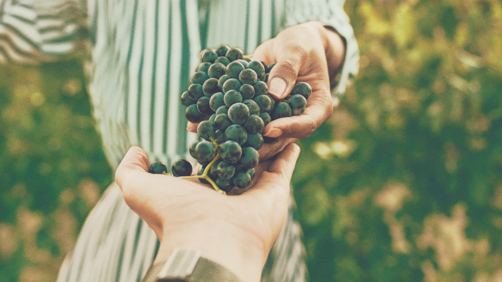 First Fruits - wearepcc